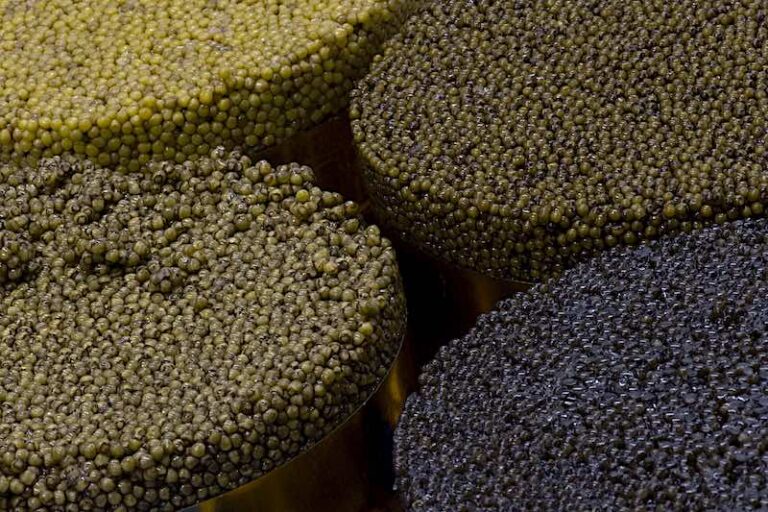 The French capital of caviar | Taste of France®