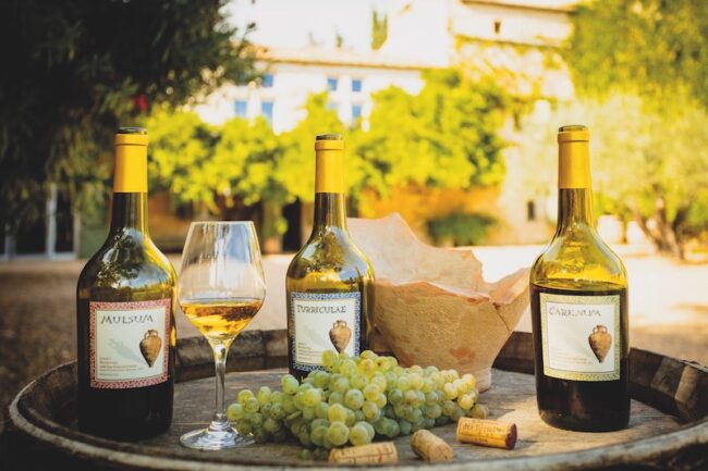 Holy vineyards | Taste of France®