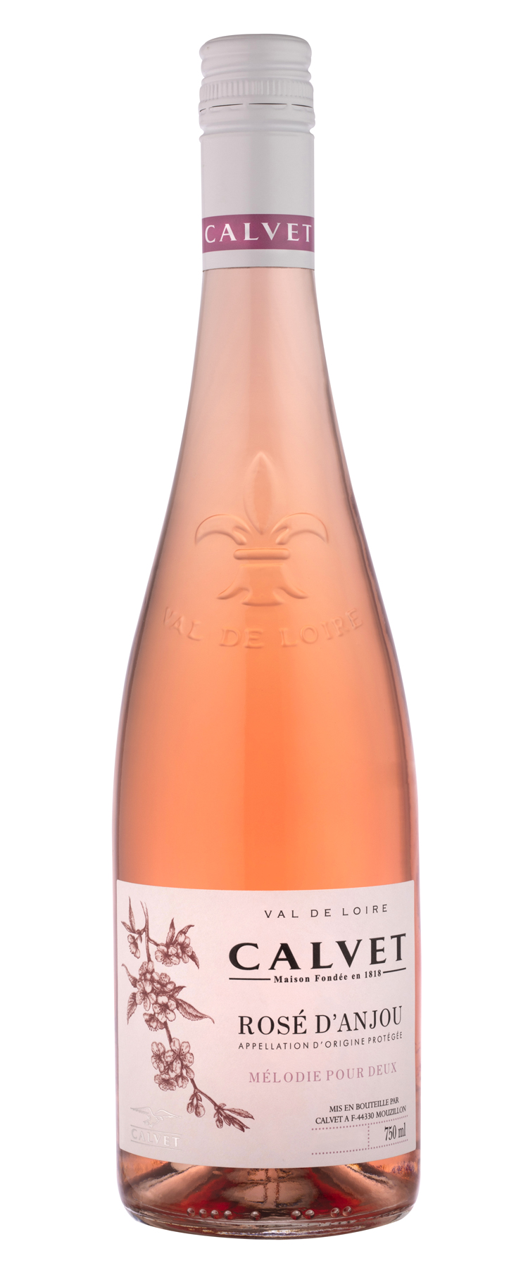 Four fantastic rosés for summer | Taste of France®