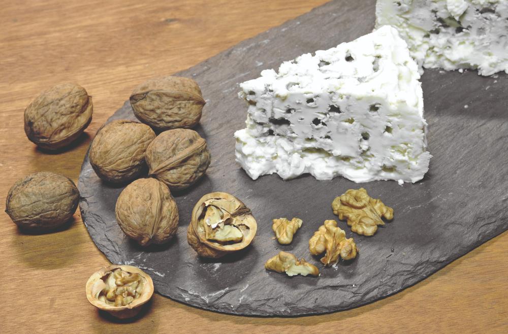 Cheeses of Southern France | Taste of France®