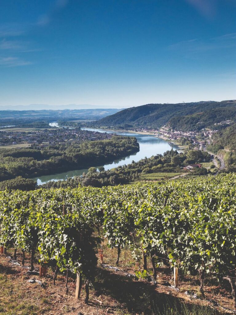 A gastronomic tour of Northern Rhone | Taste of France®