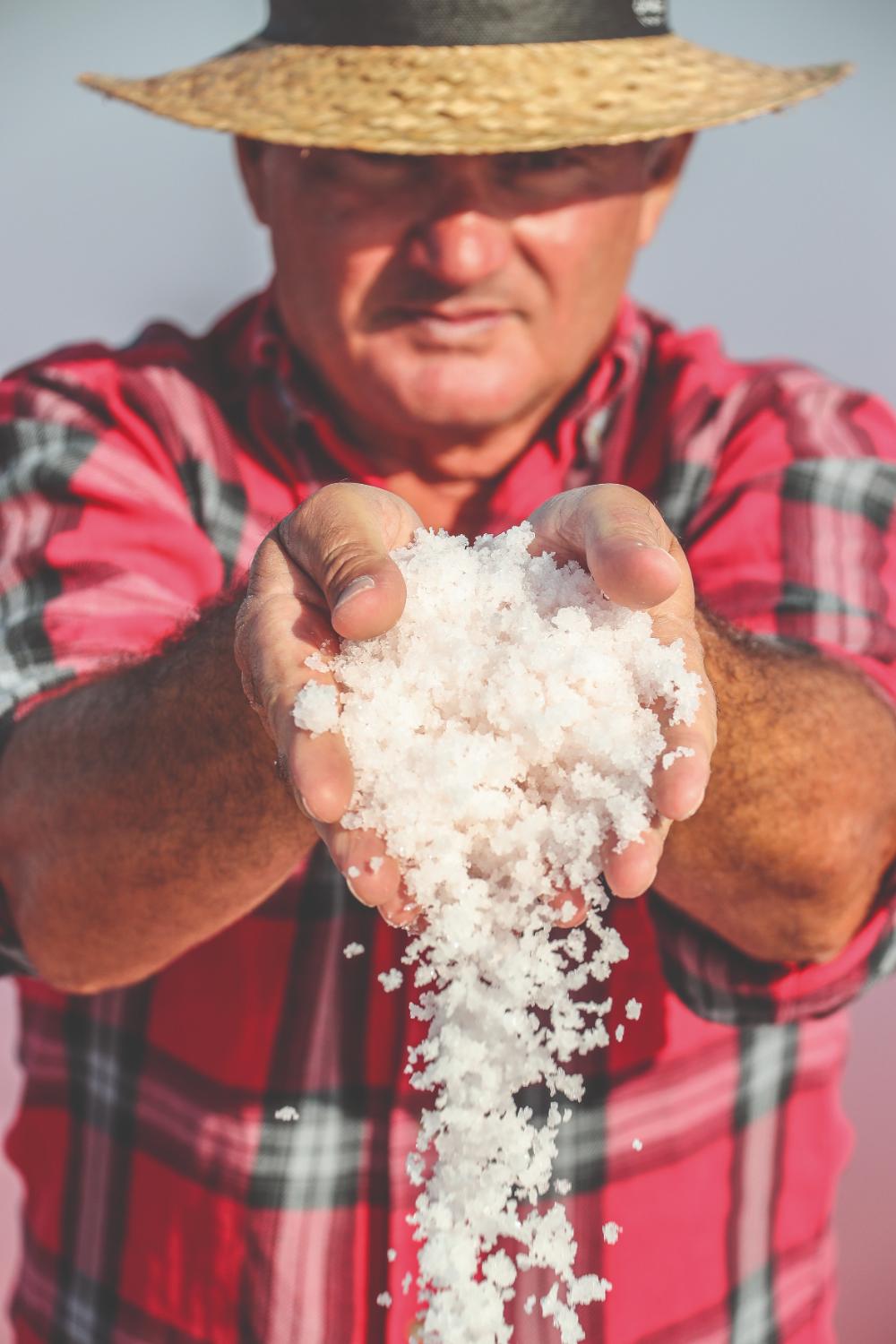 Worth Its Salt: Story of France’s Fleur de Sel | Taste of France®